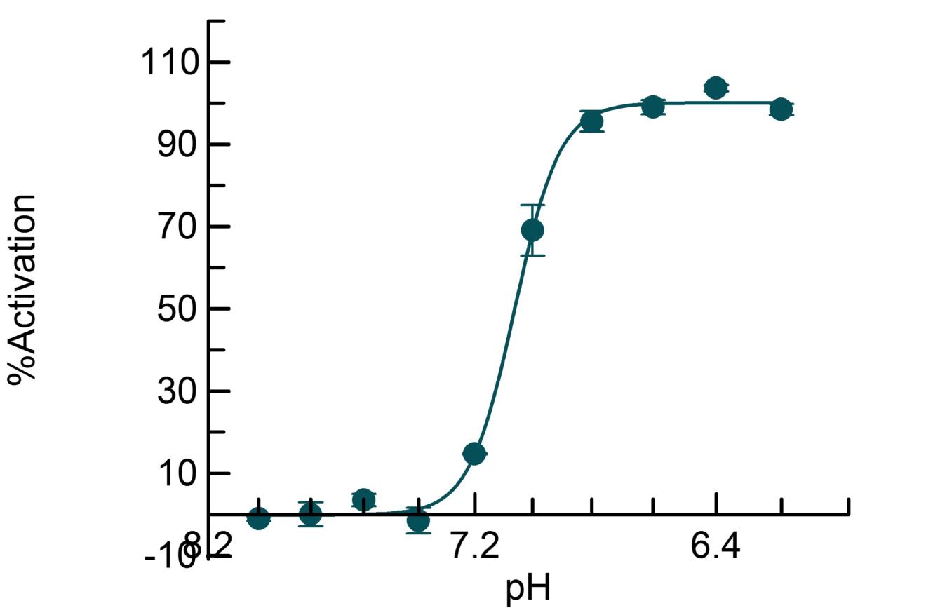 pH sensing GPR65 cAMP (FAST-0927C) - EuroscreenFast - EuroscreenFast