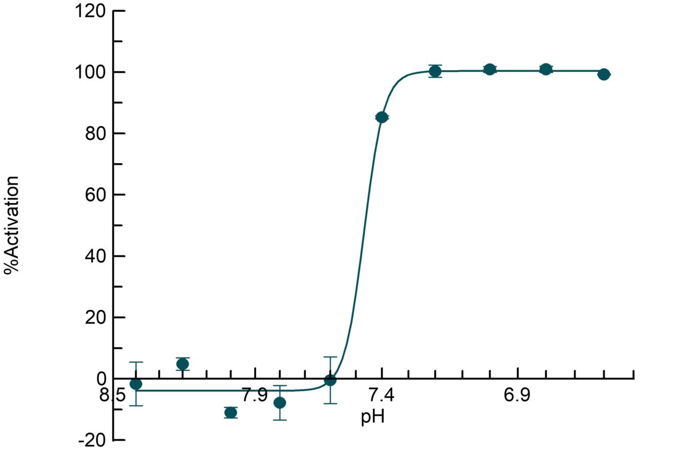 pH sensing GPR65 cAMP (FAST-0880C) - EuroscreenFast - EuroscreenFast